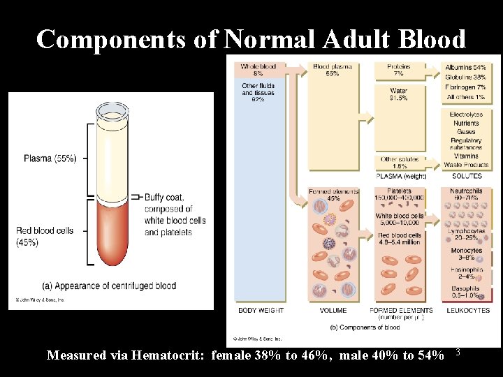 Bio 242 Unit 3 Lecture 1 1 Major