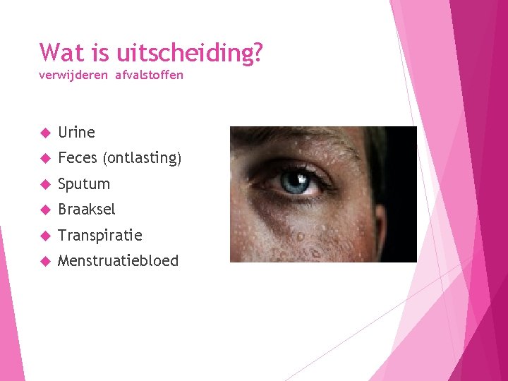 Thema 1 Basiszorg Uitscheiding Inhoudsopgave Wat is uitscheiding