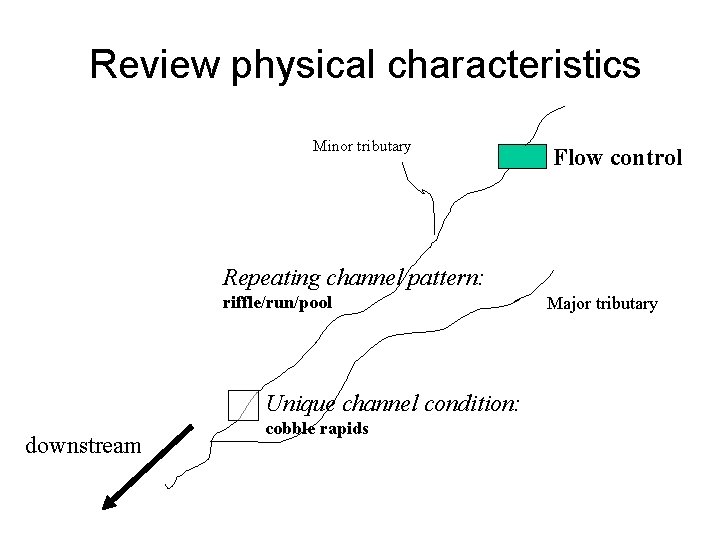 TERMINOLOGY Macrohabitat water quality and hydrology Mesohabitat commonly