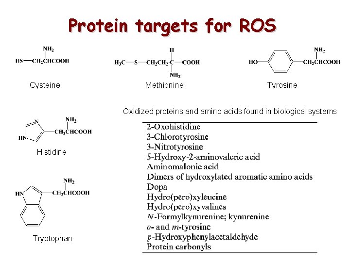 Reactive Oxygen Species I Free radicals ROS Defined