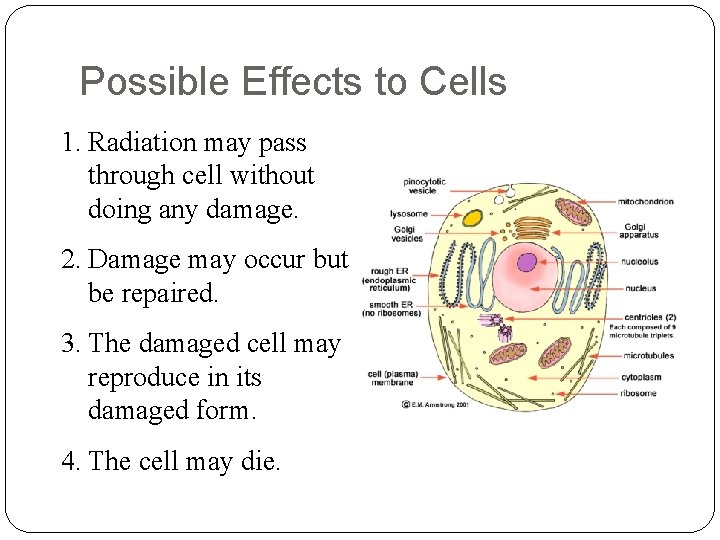 Radiation Biology 1 Acute Radiation Syndrome Early and