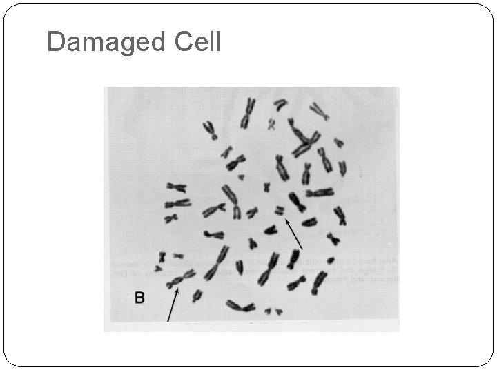 Radiation Biology 1 Acute Radiation Syndrome Early and