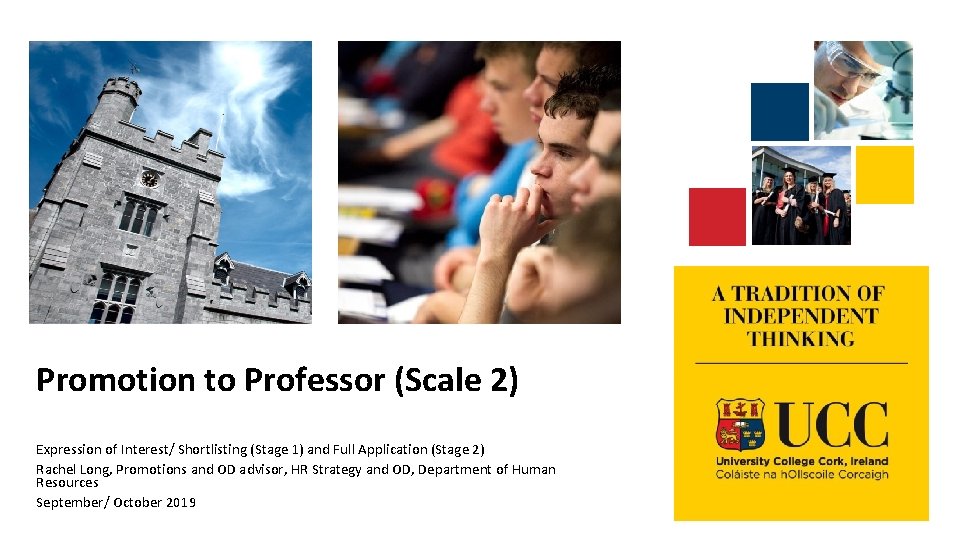 Promotion to Professor Scale 2 Expression of Interest
