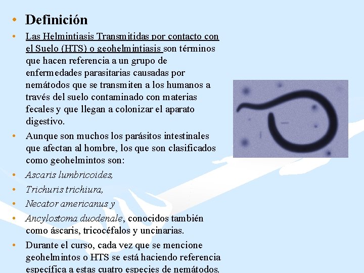 Parasitismo Intestinal Definicin Las Helmintiasis Transmitidas por contacto