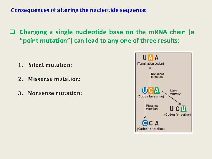 Protein synthesis I Genetic code The genetic code
