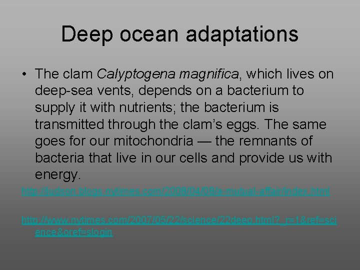 Deep ocean adaptations The clam Calyptogena magnifica which