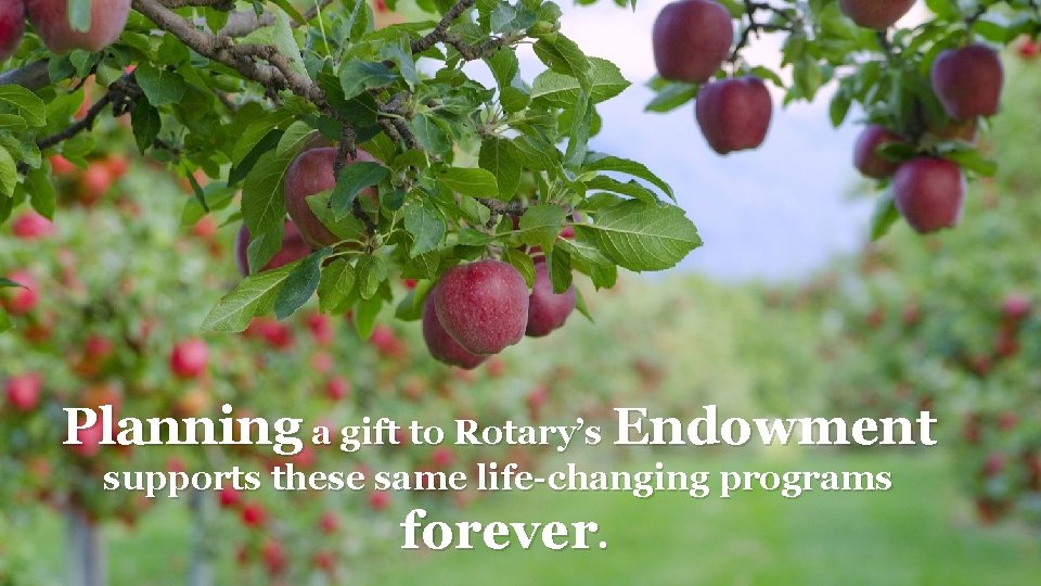 BUILDING THE ROTARY FOUNDATION ENDOWMENT 2025 BY 2025