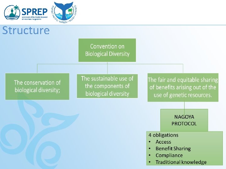 Nagoya Protocol on Access and Benefit Sharing as