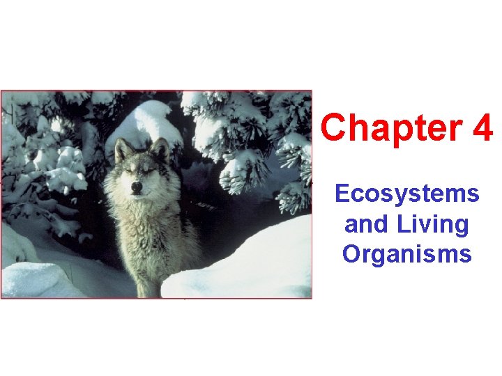 Chapter 4 Ecosystems and Living Organisms Evolution Genetic
