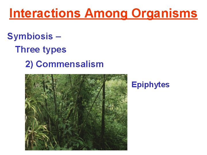 Chapter 4 Ecosystems and Living Organisms Evolution Genetic