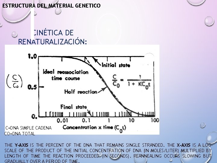 ESTRUCTURA DEL MATERIAL GENTICO I INTRODUCCIN SOBRE LOS