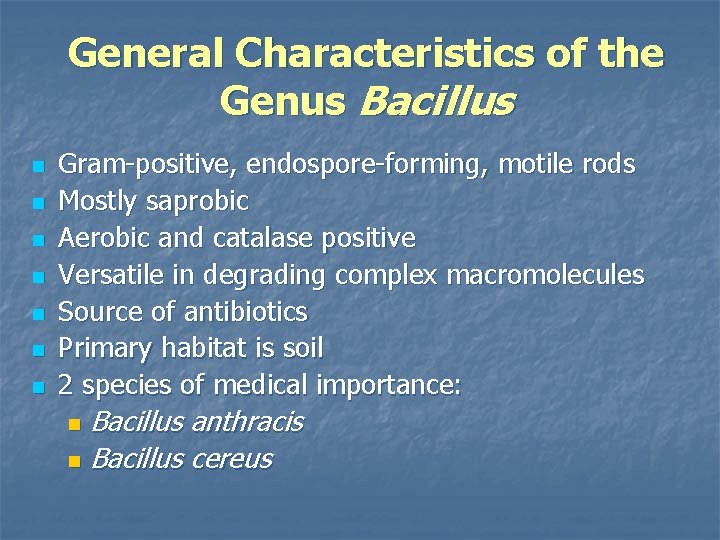 Important GramPositive Bacilli Three general groups 1 Endosporeformers