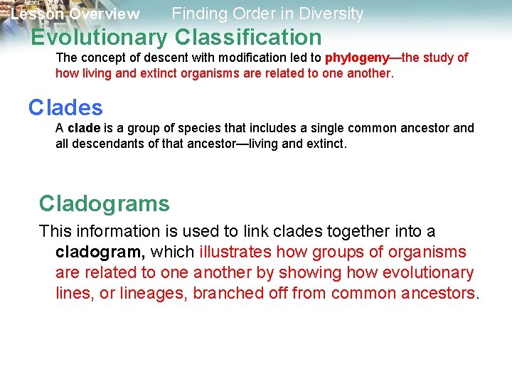 Lesson Overview Finding Order in Diversity Lesson Overview
