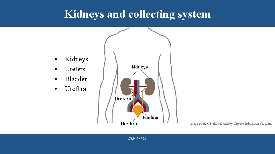 Module 1 Kidney Disease Basics Andrew Narva MD