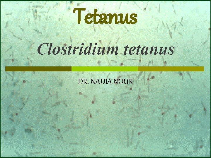 Tetanus Clostridium tetanus DR NADIA NOUR Morphology Physiology