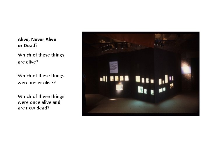 ENDINGS An Exhibit about Death and Loss Designer