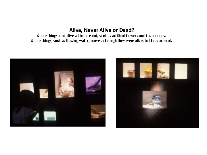 ENDINGS An Exhibit about Death and Loss Designer