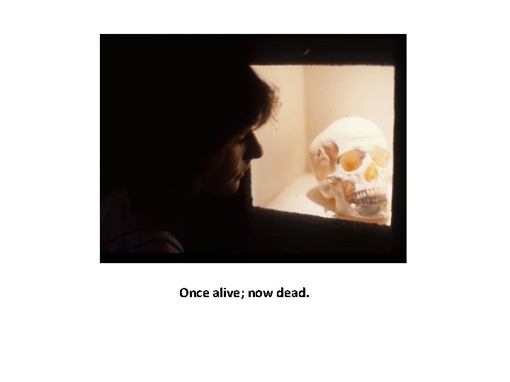 ENDINGS An Exhibit about Death and Loss Designer