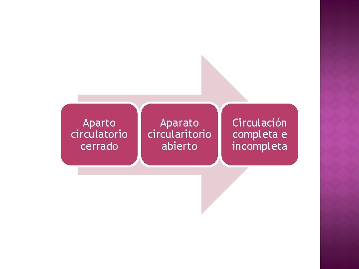 BILOGIA Circulacin cerrada Circulacin abierta el medio interno