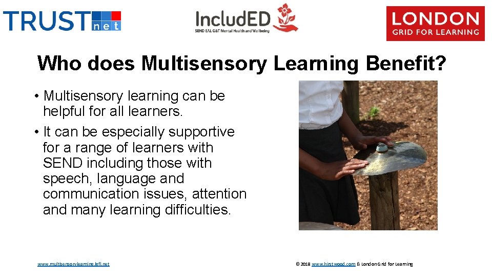 1 The Senses and Multisensory Learning The Importance