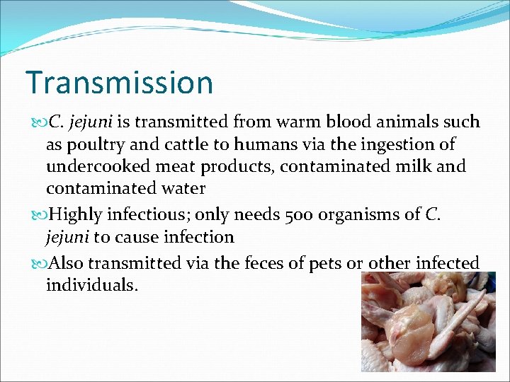 Campylobacteriosis How safe is your chicken Adeola Sonaike