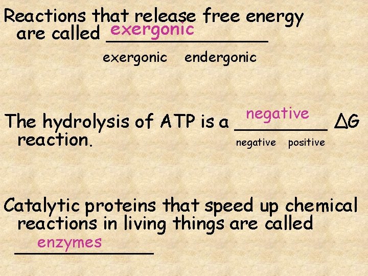 AP BIOLOGY Chapter 6 7 8 Metabolism Enzymes