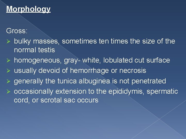Testicular tumors clasification morphology with special reference to