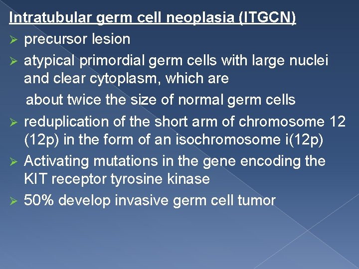 Testicular tumors clasification morphology with special reference to