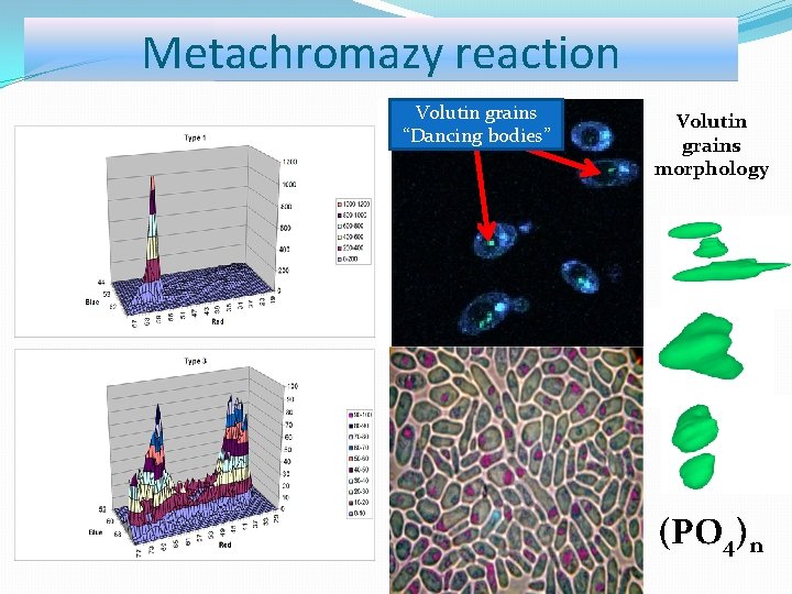 Zabolotny Institute of Microbiology and Virology of the
