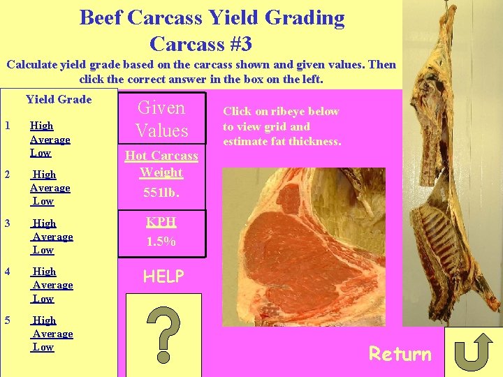 Beef Carcass Yield Grading CDE Practice Based on