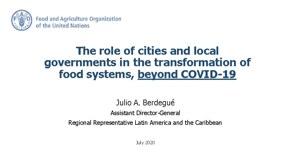 The role of cities and local governments in