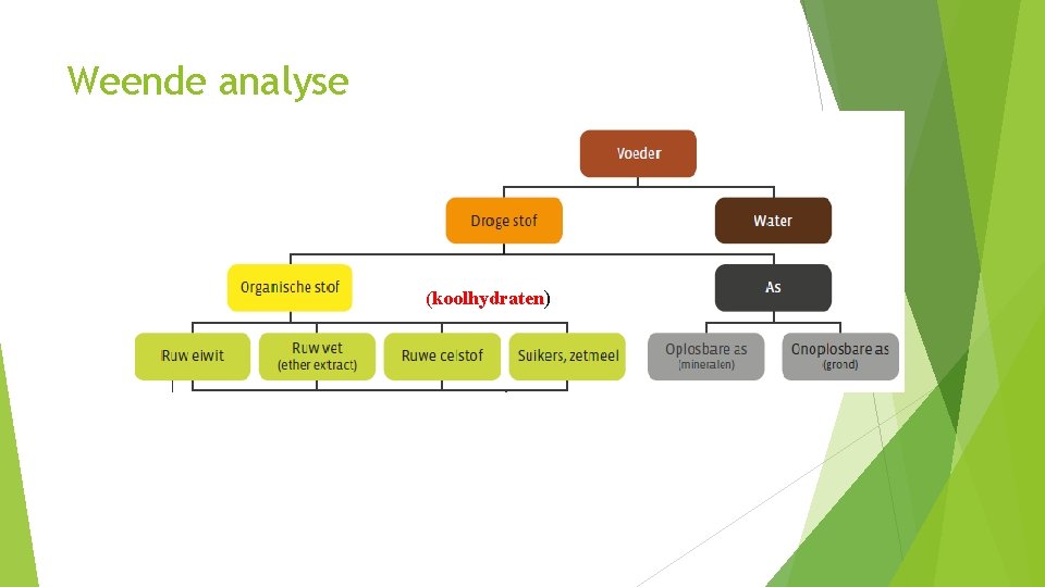 VOS FOS en OEB Weende analyse koolhydraten VERTEERBARE