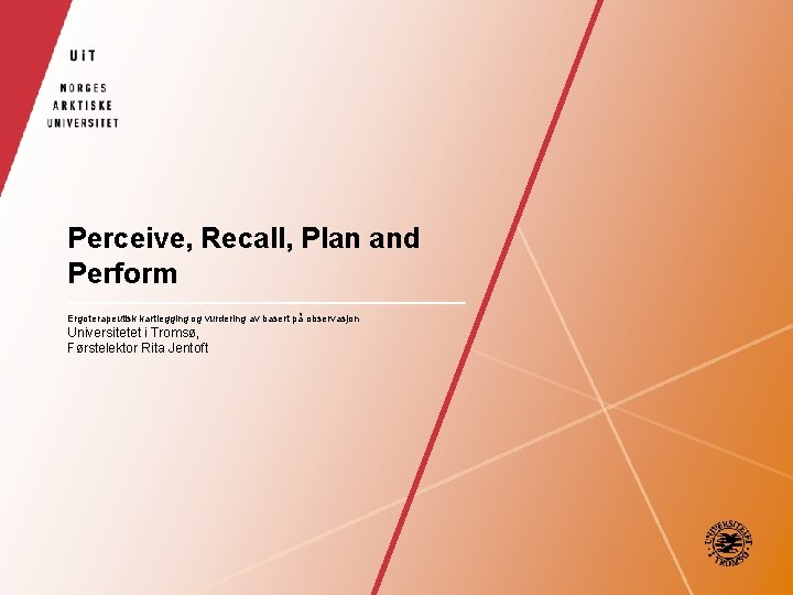 Perceive Recall Plan and Perform Ergoterapeutisk kartlegging og