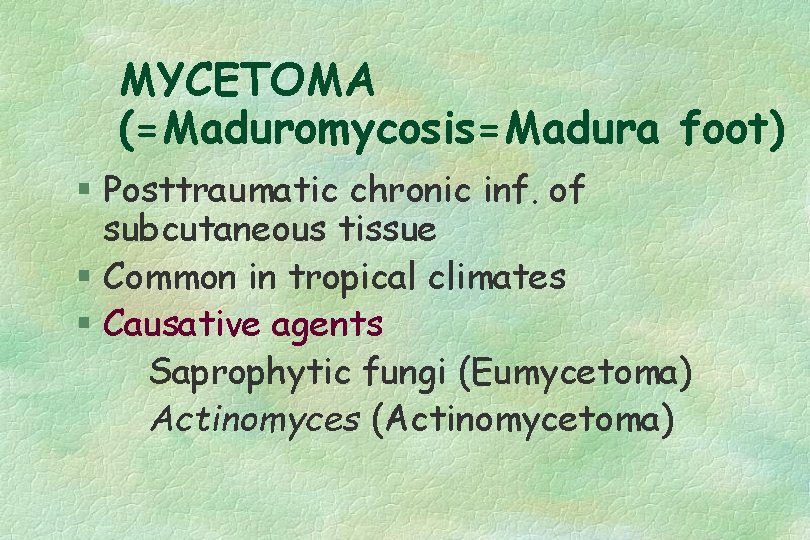 SUBCUTANEOUS MYCOSES Sevtap Arikan MD SUBCUTANEOUS MYCOSES Sporotrichosis