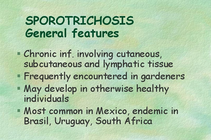 SUBCUTANEOUS MYCOSES Sevtap Arikan MD SUBCUTANEOUS MYCOSES Sporotrichosis