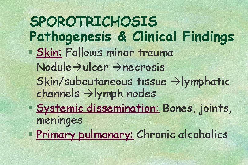 SUBCUTANEOUS MYCOSES Sevtap Arikan MD SUBCUTANEOUS MYCOSES Sporotrichosis