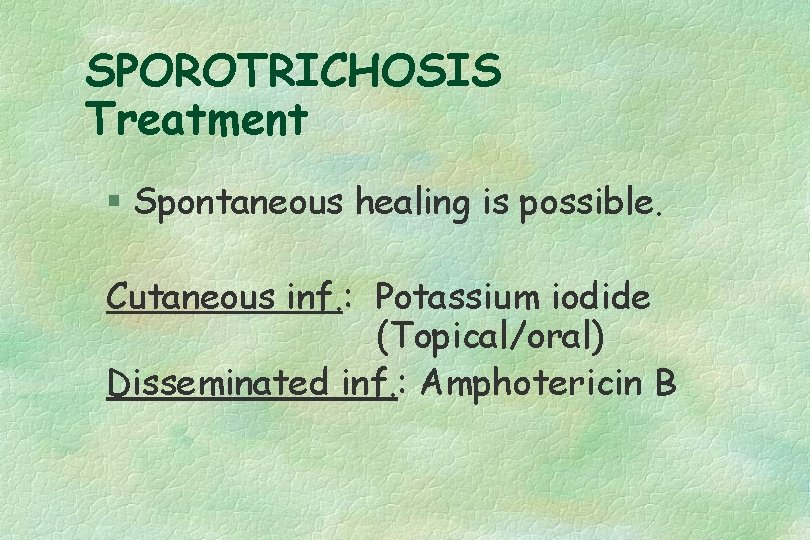 SUBCUTANEOUS MYCOSES Sevtap Arikan MD SUBCUTANEOUS MYCOSES Sporotrichosis