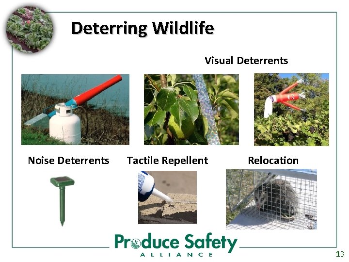 Module 4 Wildlife Domesticated Animals and Land Use