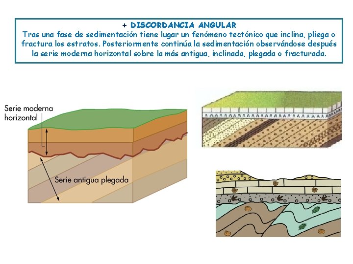 ESTRATIGRAFA Y DEFORMACIONES 1 ESTRATIGRAFA ESTRATOS Y SERIES