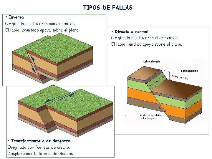 ESTRATIGRAFA Y DEFORMACIONES 1 ESTRATIGRAFA ESTRATOS Y SERIES