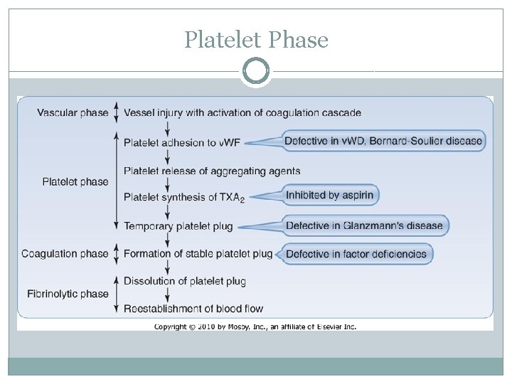 Approach to bleeding Disorders BY MOHANNAD IBN HOMAID