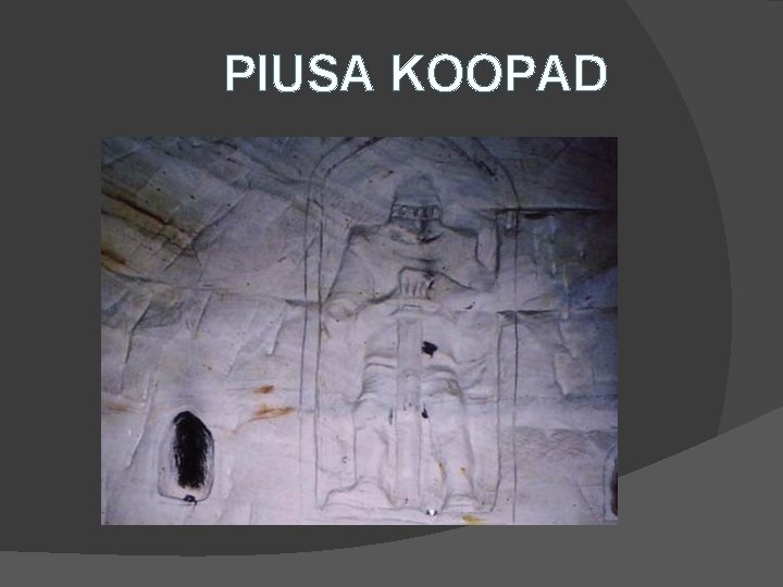 PIUSA KOOPAD ROZA FELL PRNU TAMMSAARE KOOL PIUSA