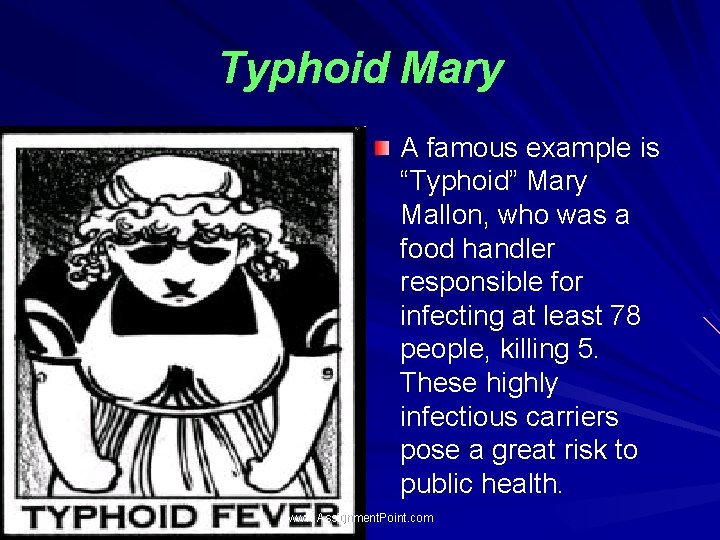 Presentation On Typhoid Fever www Assignment Point com