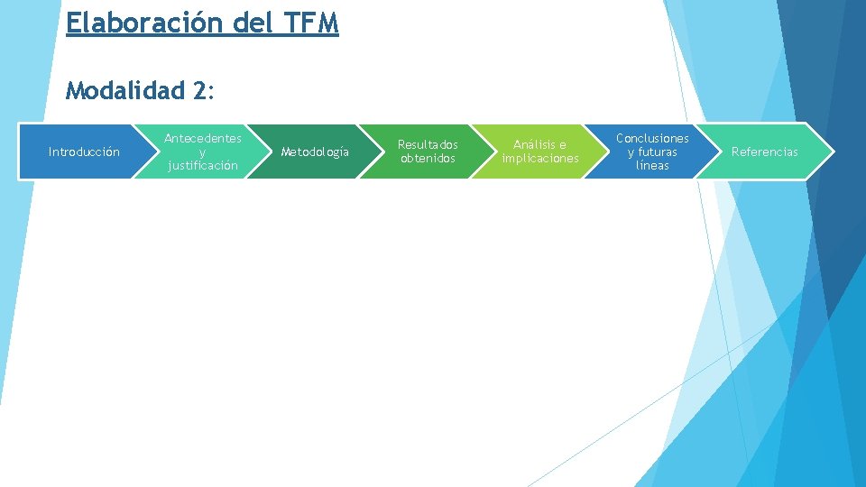 Orientaciones generales para la elaboracin de un TFM