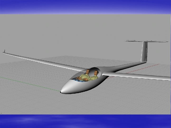 Project Gini chicken hawk in Navajo language Details