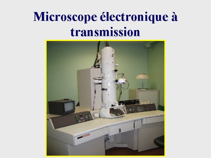 Apport de la microscopie lectronique dans les Sciences