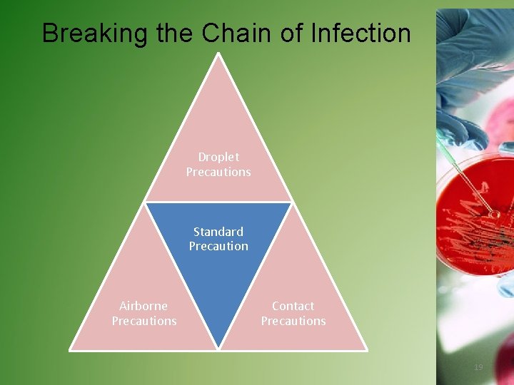 Infection Control Microorganisms Colonization Chain of Infection Breaking