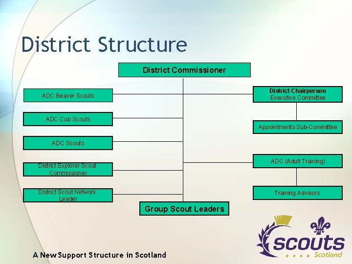Scouting in Scotland A New Support Structure April