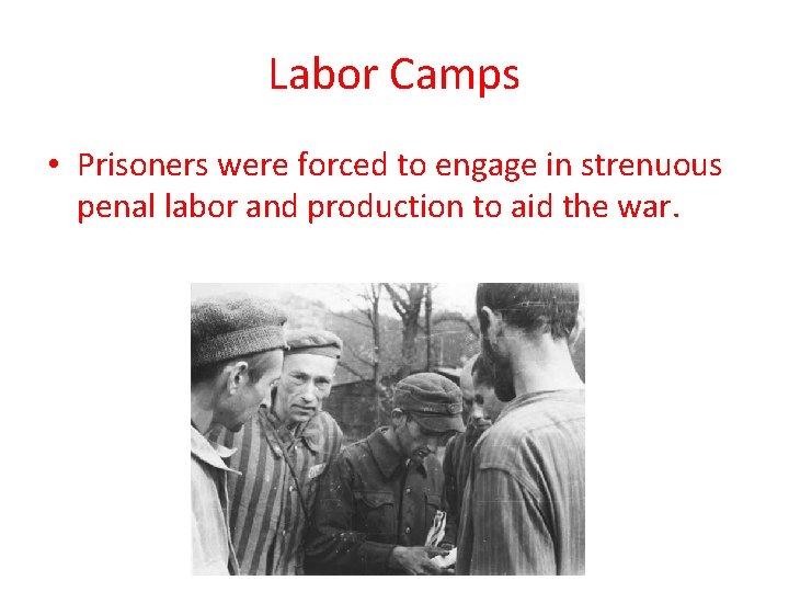 Introduction to Night In your composition book NOTES