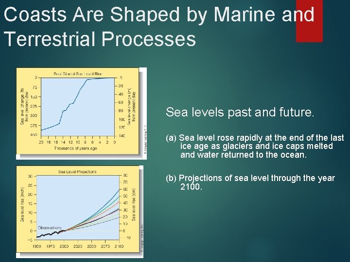 Chapter 12 Coasts Chapter 12 Study Plan Coasts
